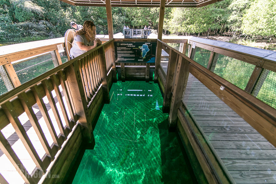 Kitch-iti-kipi (The Big Spring) – Life In Michigan