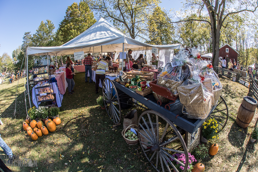 Pioneer Day at the Waterloo Farm Museum – Life In Michigan